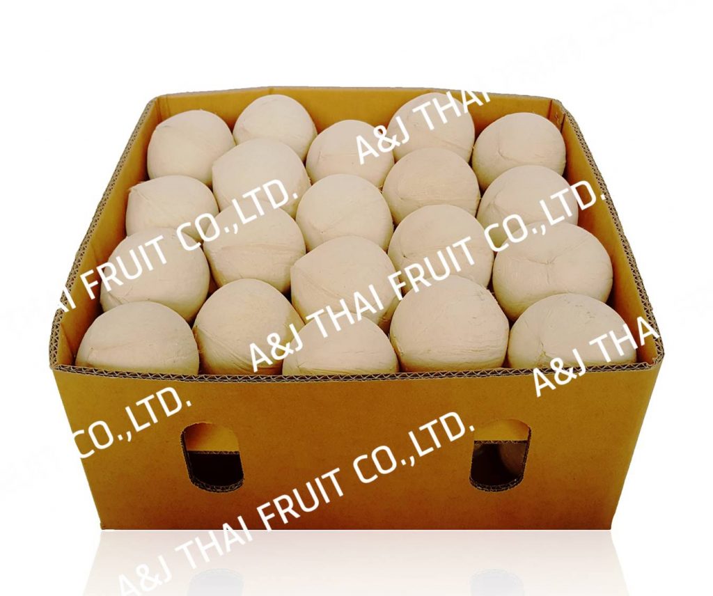 Cone-Boil Type – A&J THAI FRUIT CO.,LTD.