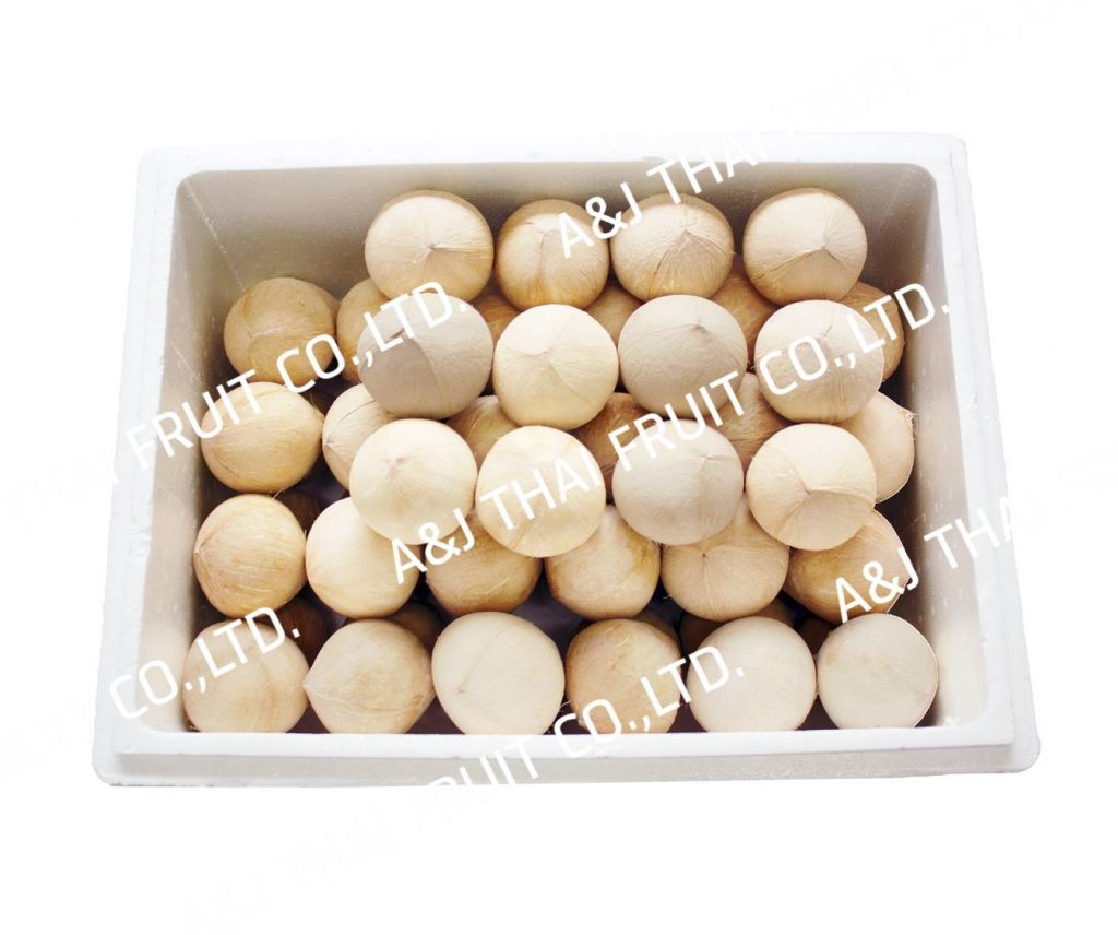 Cone-Boil Type – A&J THAI FRUIT CO.,LTD.