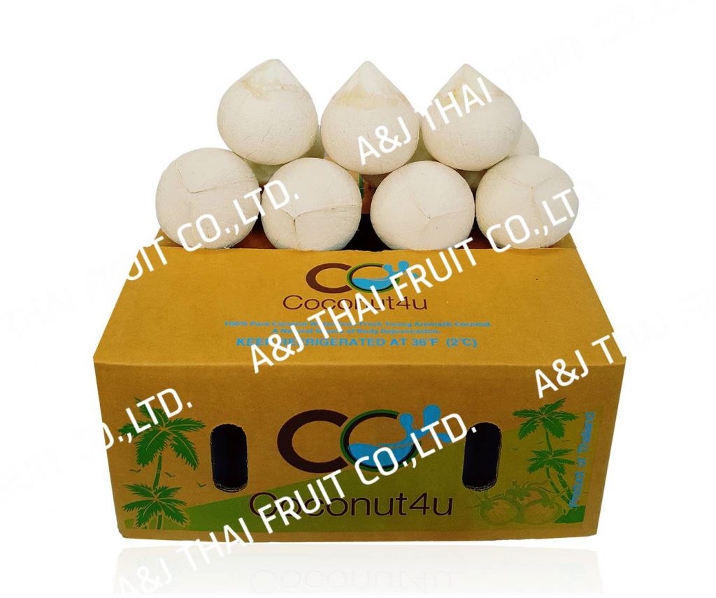 Cone-Boil Type – A&J THAI FRUIT CO.,LTD.
