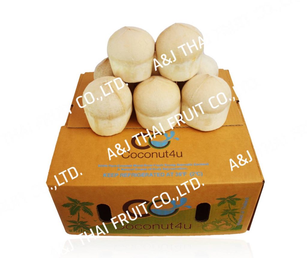 Polished Coconut (Based Type) – A&J THAI FRUIT CO.,LTD.