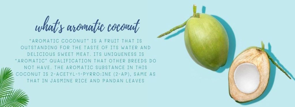 WHAT’S AROMATIC COCONUT – A&J THAI FRUIT CO.,LTD.