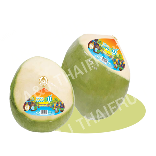 Trimmed Coconut (Diamond Type) coconut with green husk-Demo – A&J THAI ...