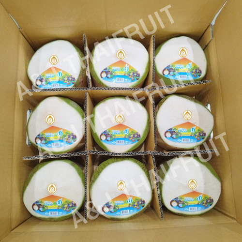 Trimmed Coconut (Diamond Type) coconut with green husk-Demo – A&J THAI ...
