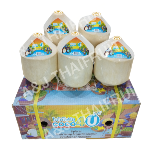 Trimmed Coconut (Diamond Type) coconut with white husk-Demo – A&J THAI ...