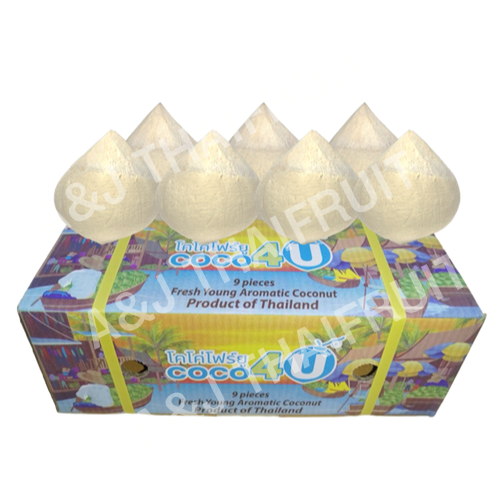 Polished Coconut (Cone Type)-Demo – A&J THAI FRUIT CO.,LTD.