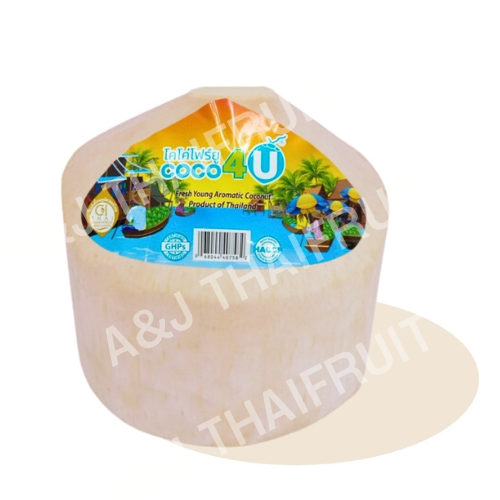 Trimmed Coconut (Diamond Type) coconut with white husk-Demo – A&J THAI ...